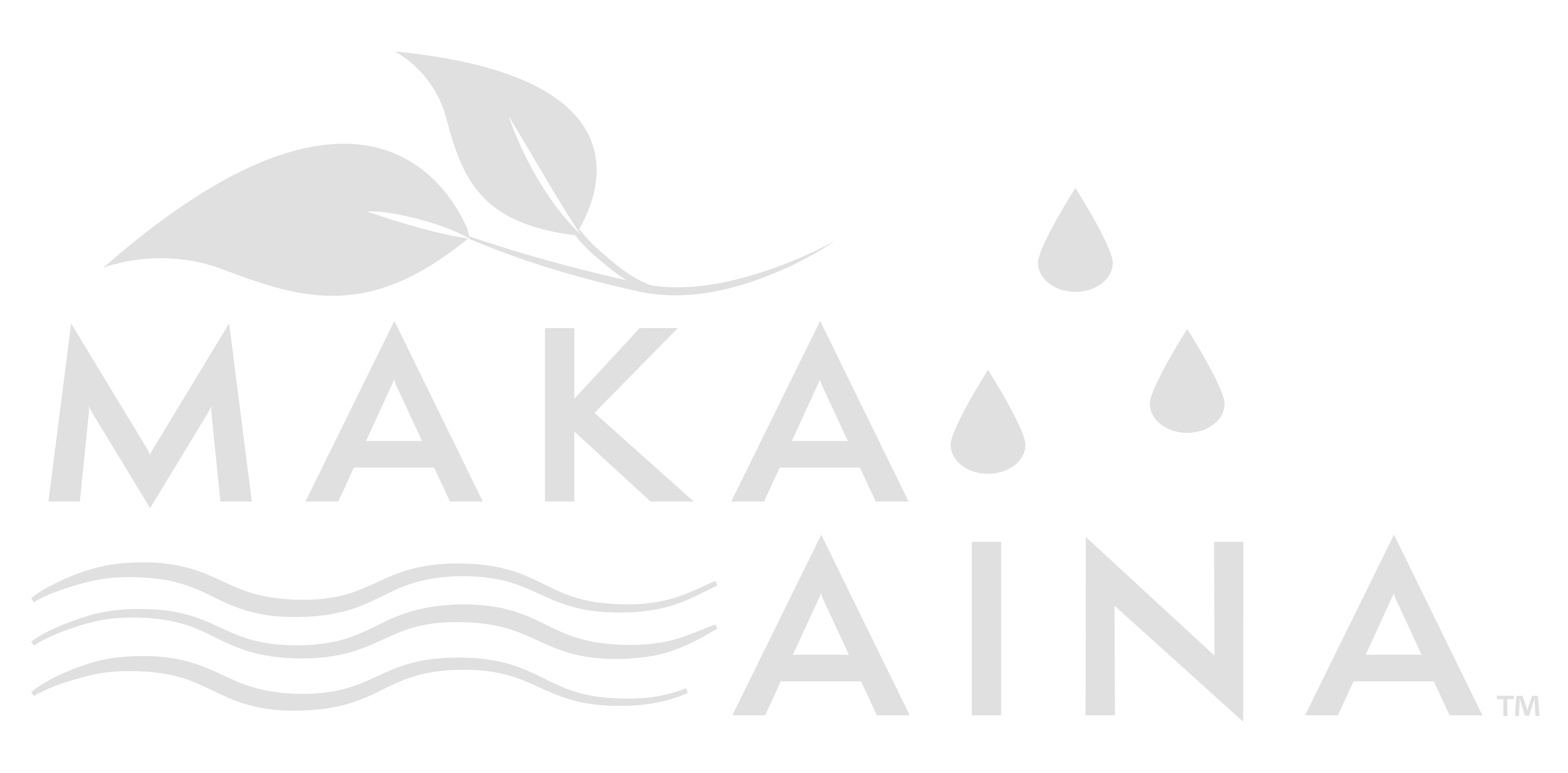 Under Construction - Makaaina